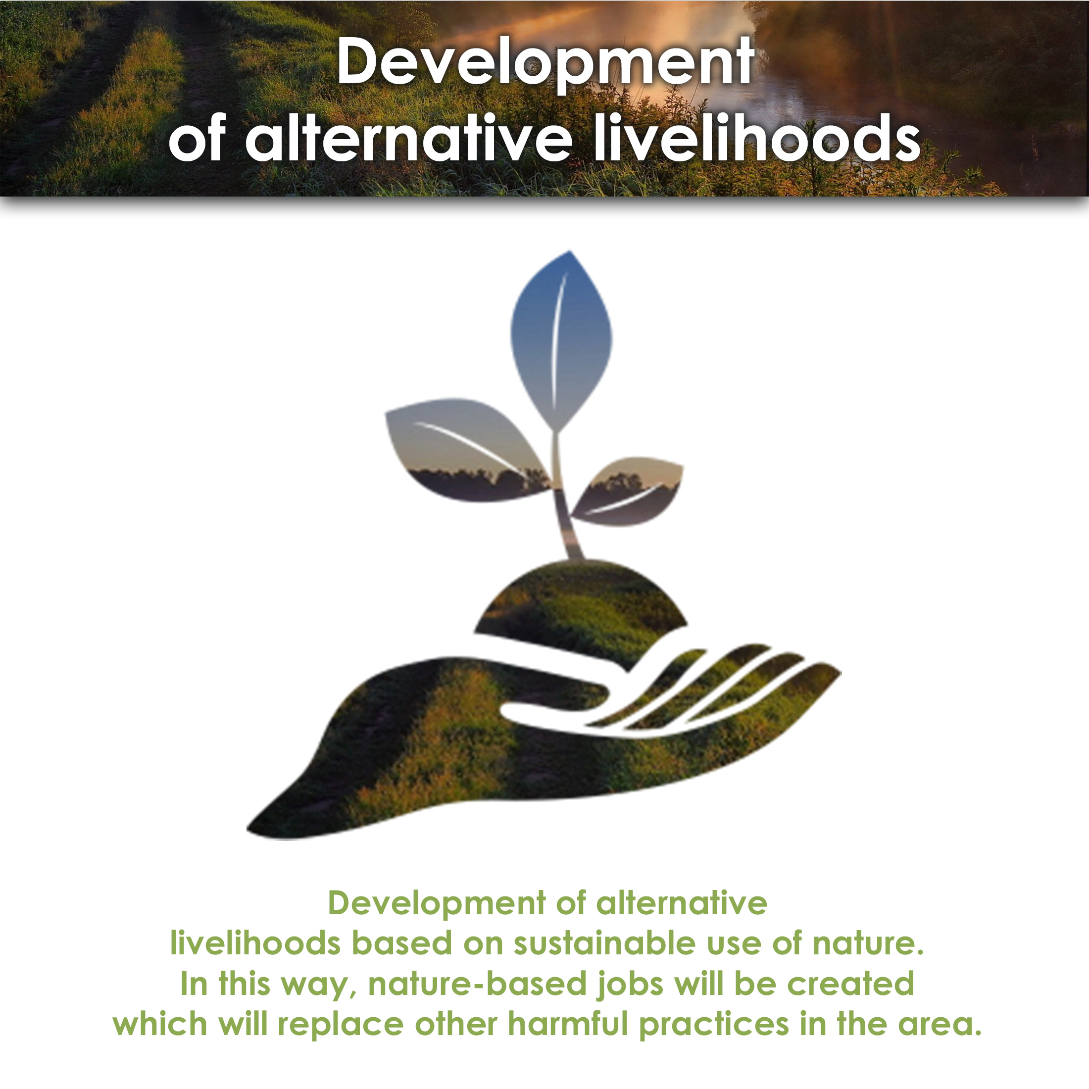 Infographics for nature conservation project / I.. » Infographics ...