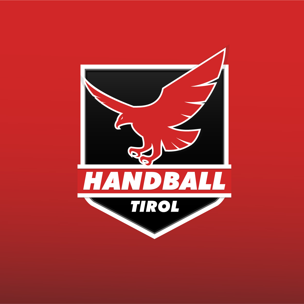 Logo-Design für Handballverein » Logo-Design » Briefing » designenlassen.de