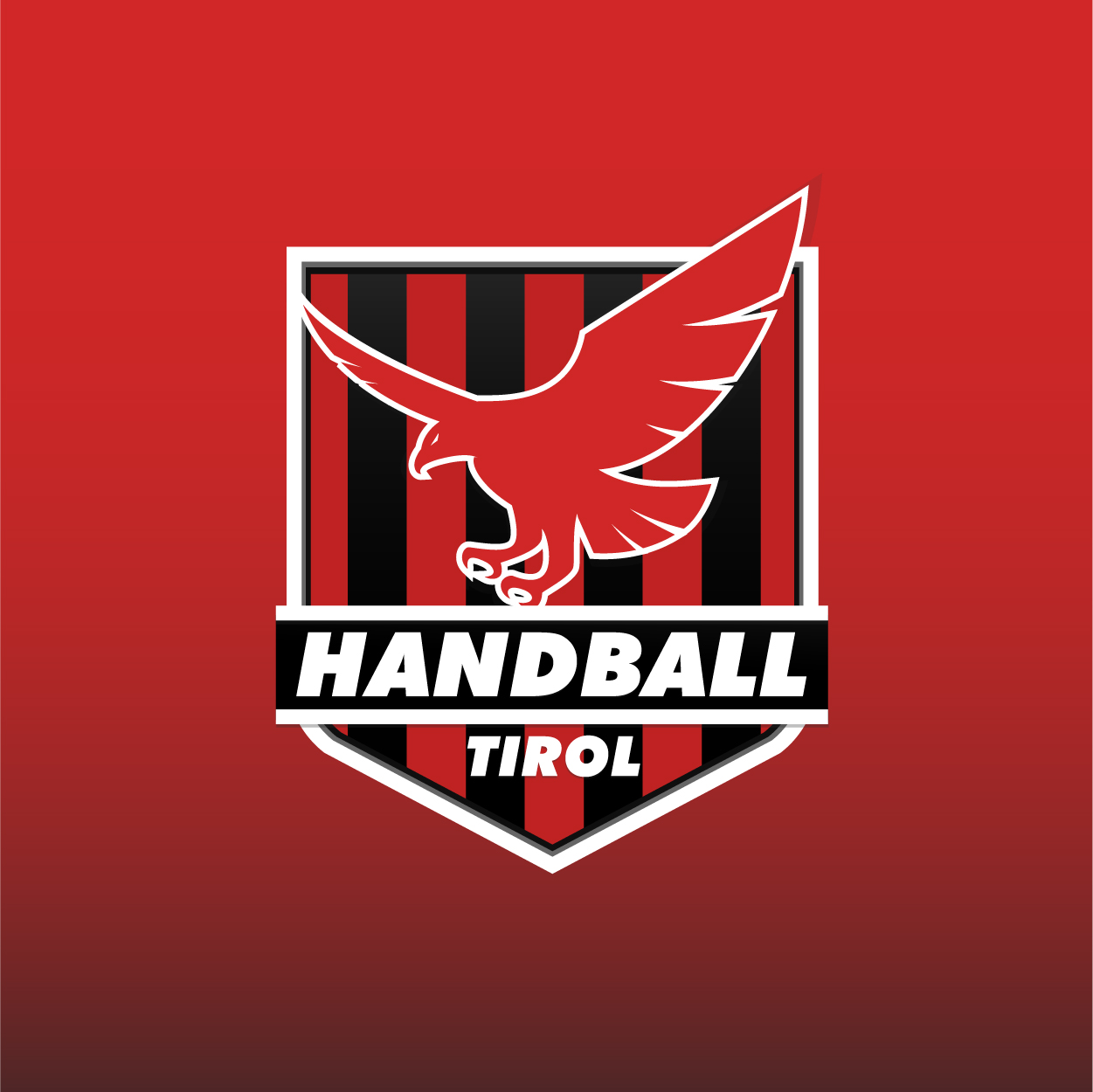 Logo-Design für Handballverein » Logo-Design » Briefing » designenlassen.de