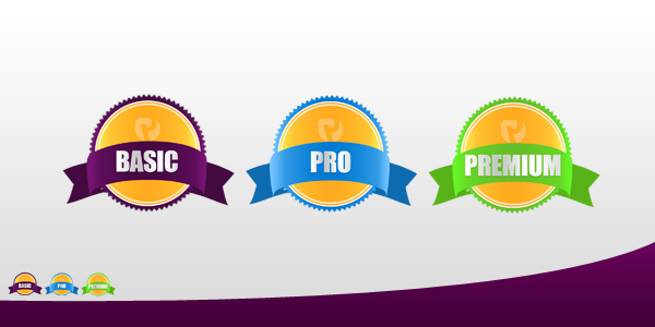 Basic-/Pro-/Premium-Icons » Icon-Design » designenlassen.de