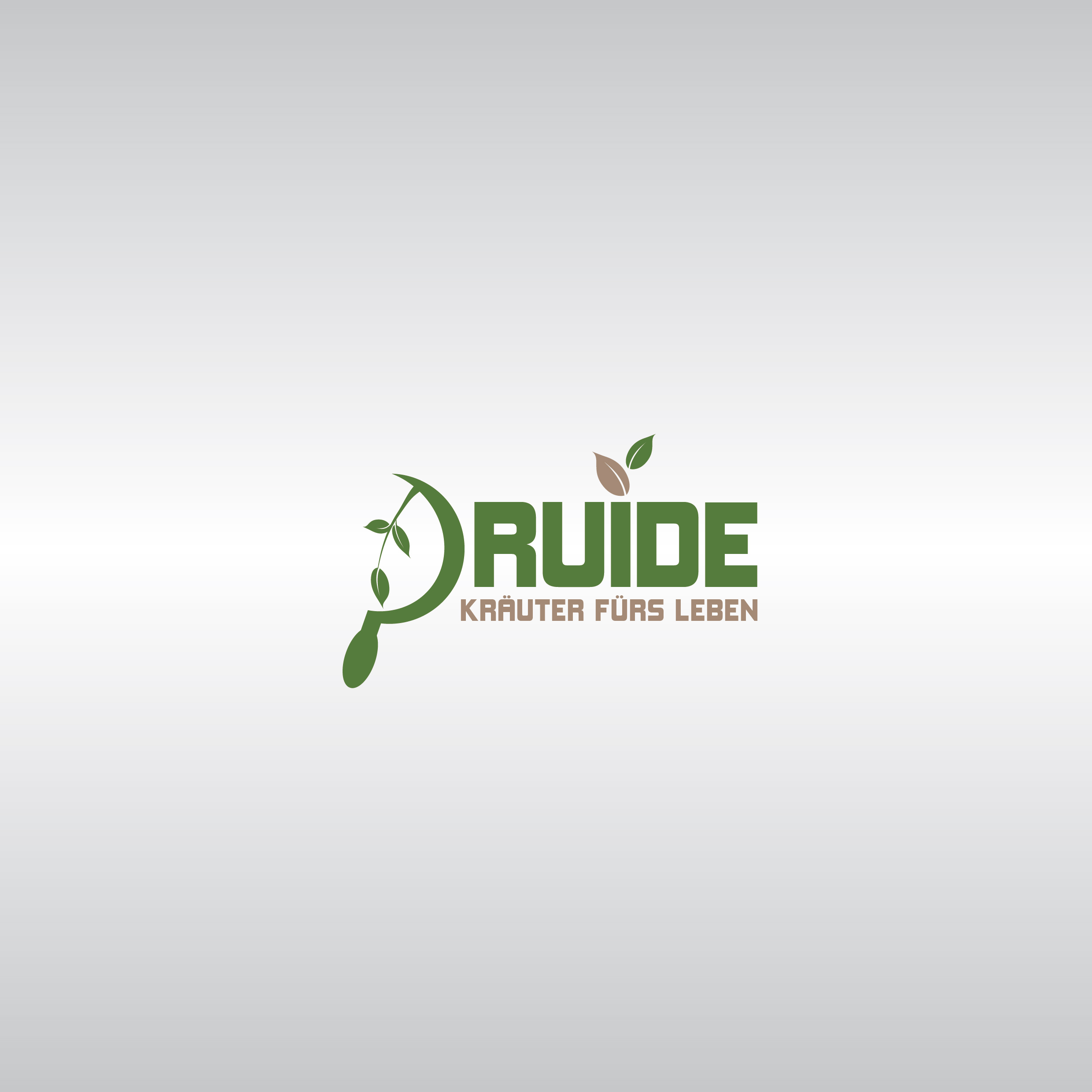 Logo-Design für druide » Logo-Design » designenlassen.de